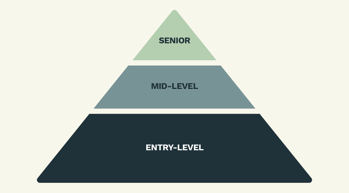 Why hiring junior talent is key to your long term success